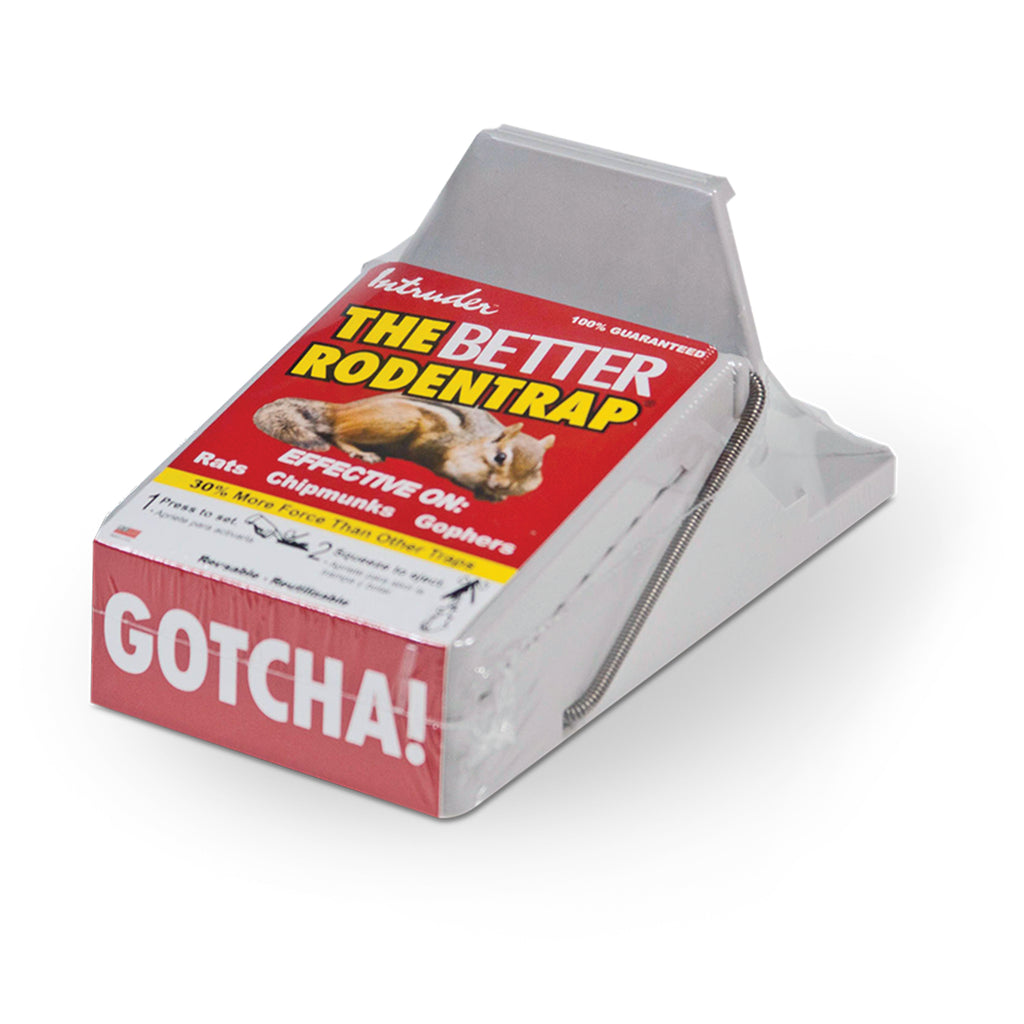 The Better Rodentrap™ | Intruder